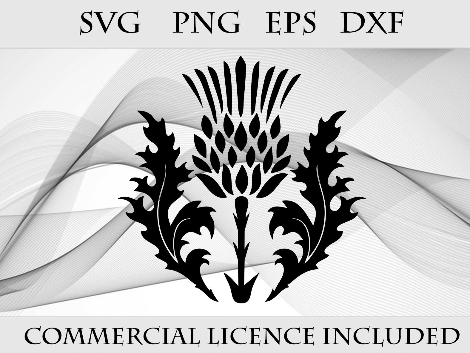 Scottish Thistle SVG Png Eps Dxf Cuttable File Cricut - Etsy