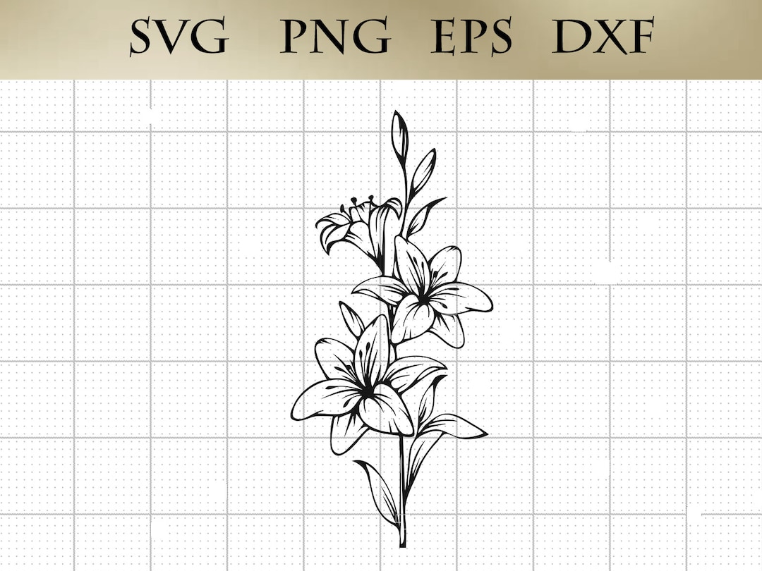 Lily SVG Png Eps Dxf Lily Flower Drawing Outline Cricut Silhouette ...