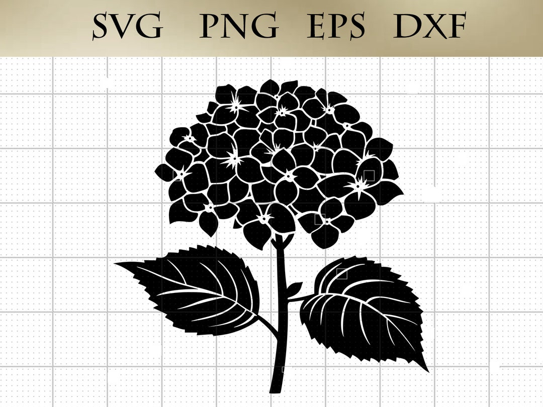 Hydrangea SVG Png Eps Dxf Flower Vector Drawing Cricut Silhouette Art ...