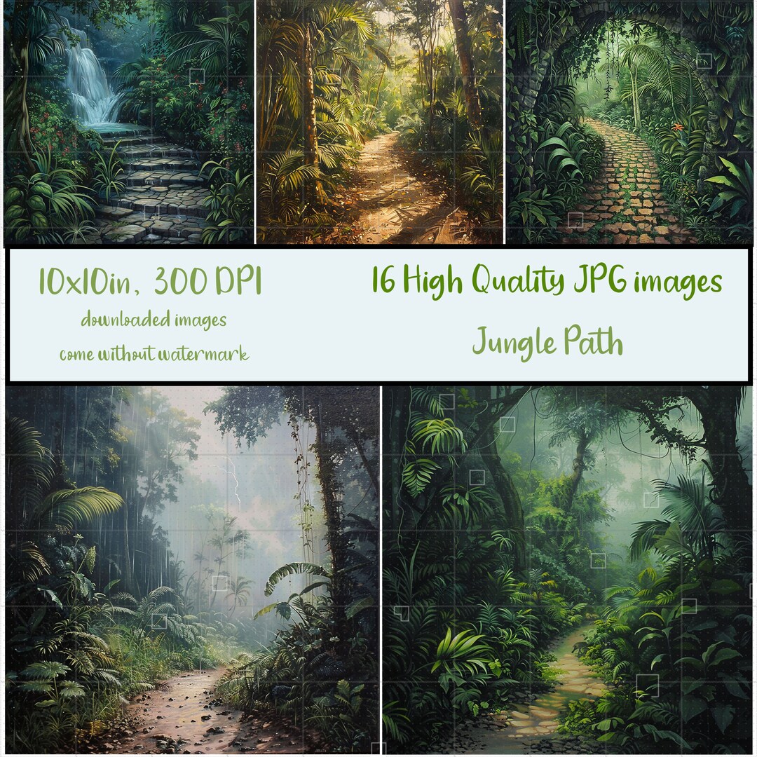 Jungle Path, Bundle of 16 JPG Images, Tropical Jungle, Rainforest ...