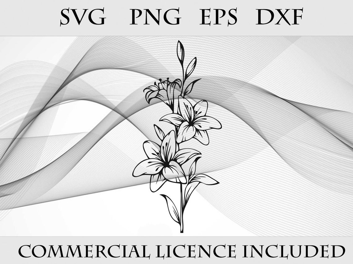 Lily SVG Png Eps Dxf Lily Flower Drawing Outline Cricut Silhouette ...