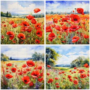 Poppy Field, Bundle of 16 JPG Images, Watercolor, Wild Poppy Flower ...