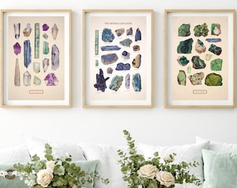 A Guide With Information About Important Minerals for Your Health and ...