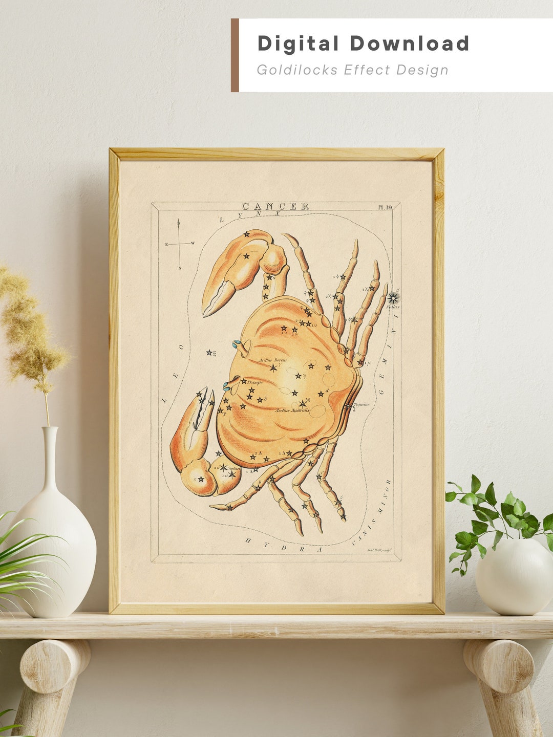Vintage Cancer Print, Star Sign, Cancer Birthday Gift, Cancer Wall Art ...