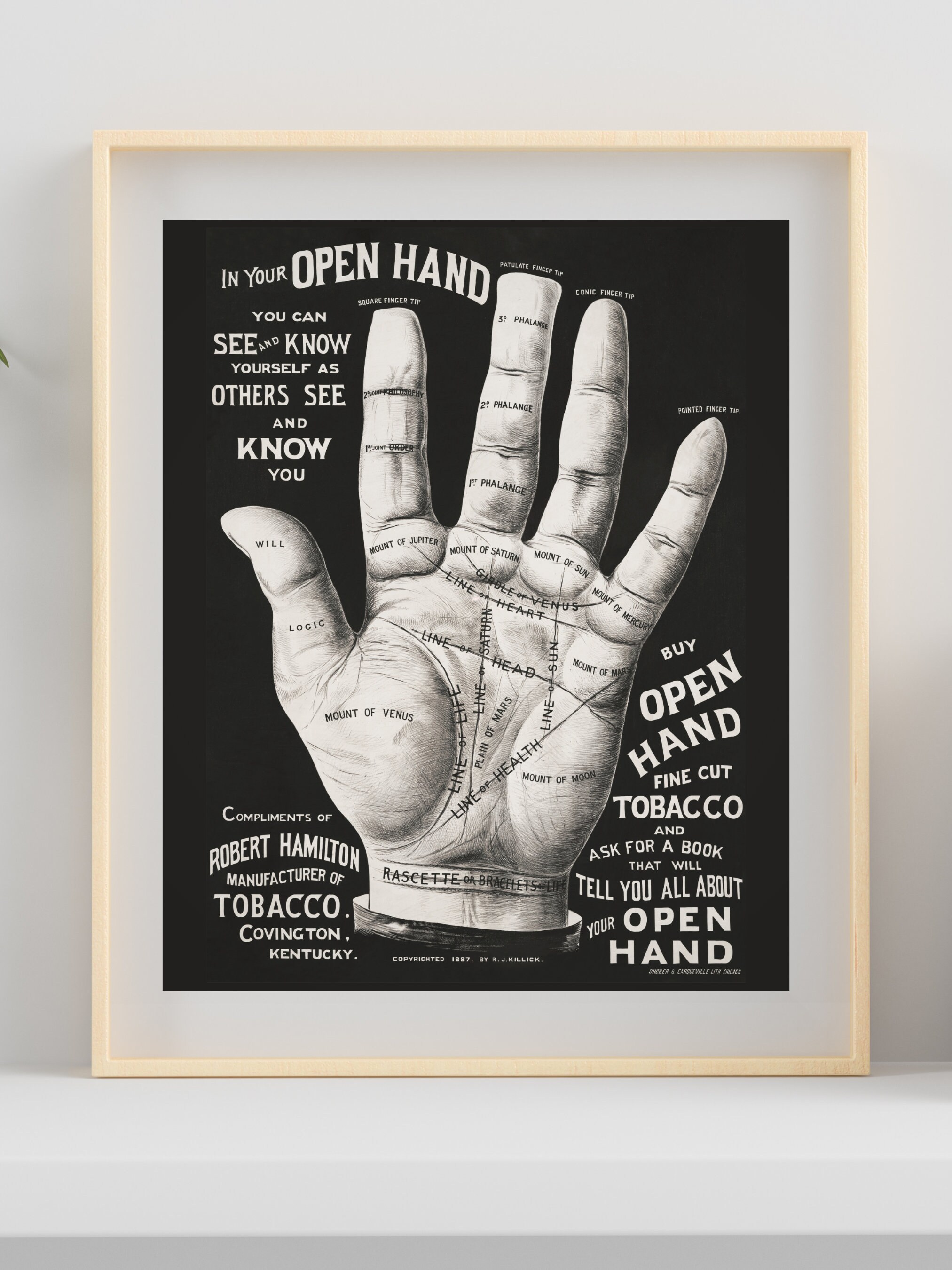 Vintage Open Hand Palm Reading Poster From 1897, Palmistry Artwork ...