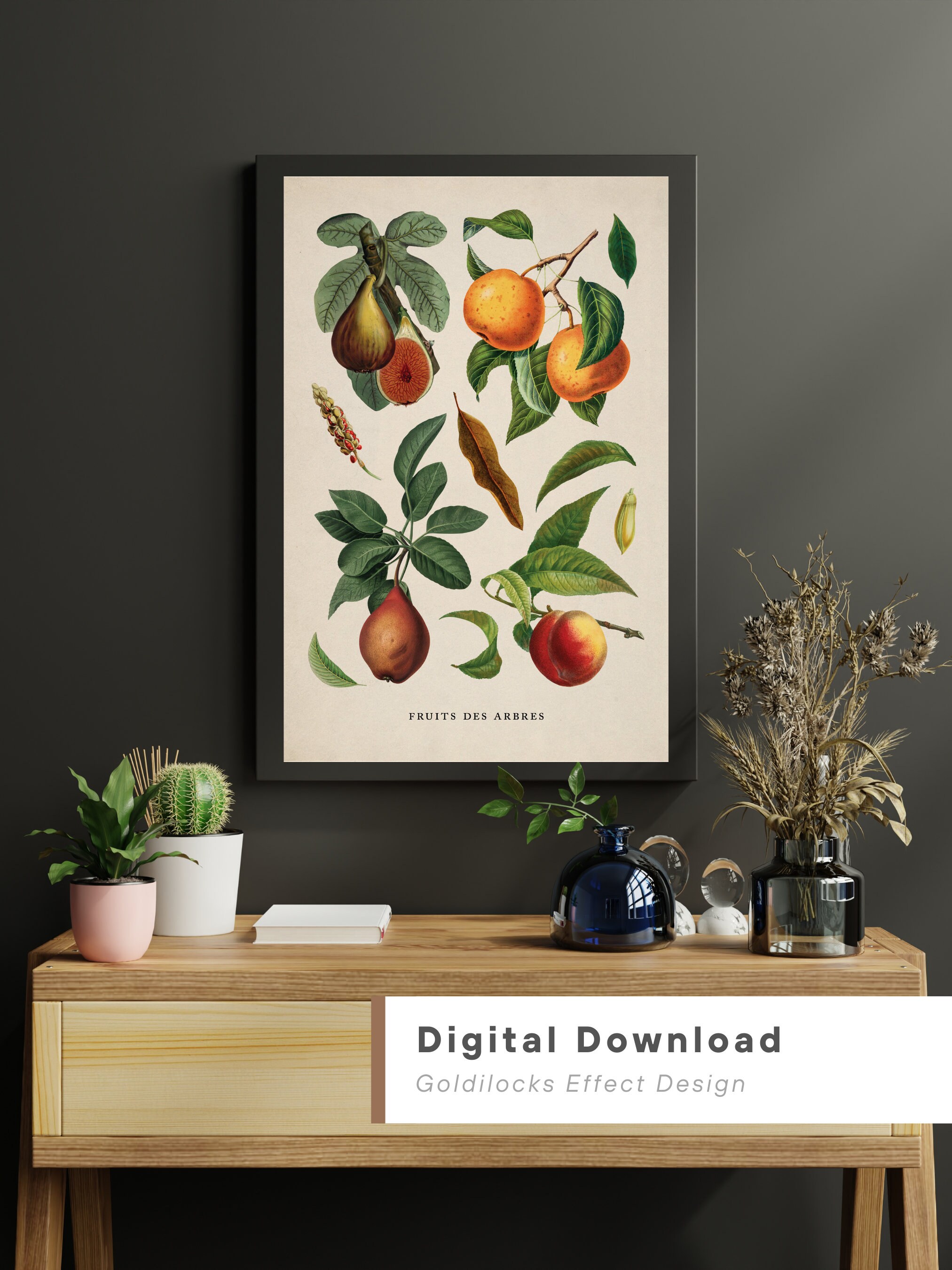 Vintage Fruit Kitchen Prints Botanical Art Illustrations Set - Etsy