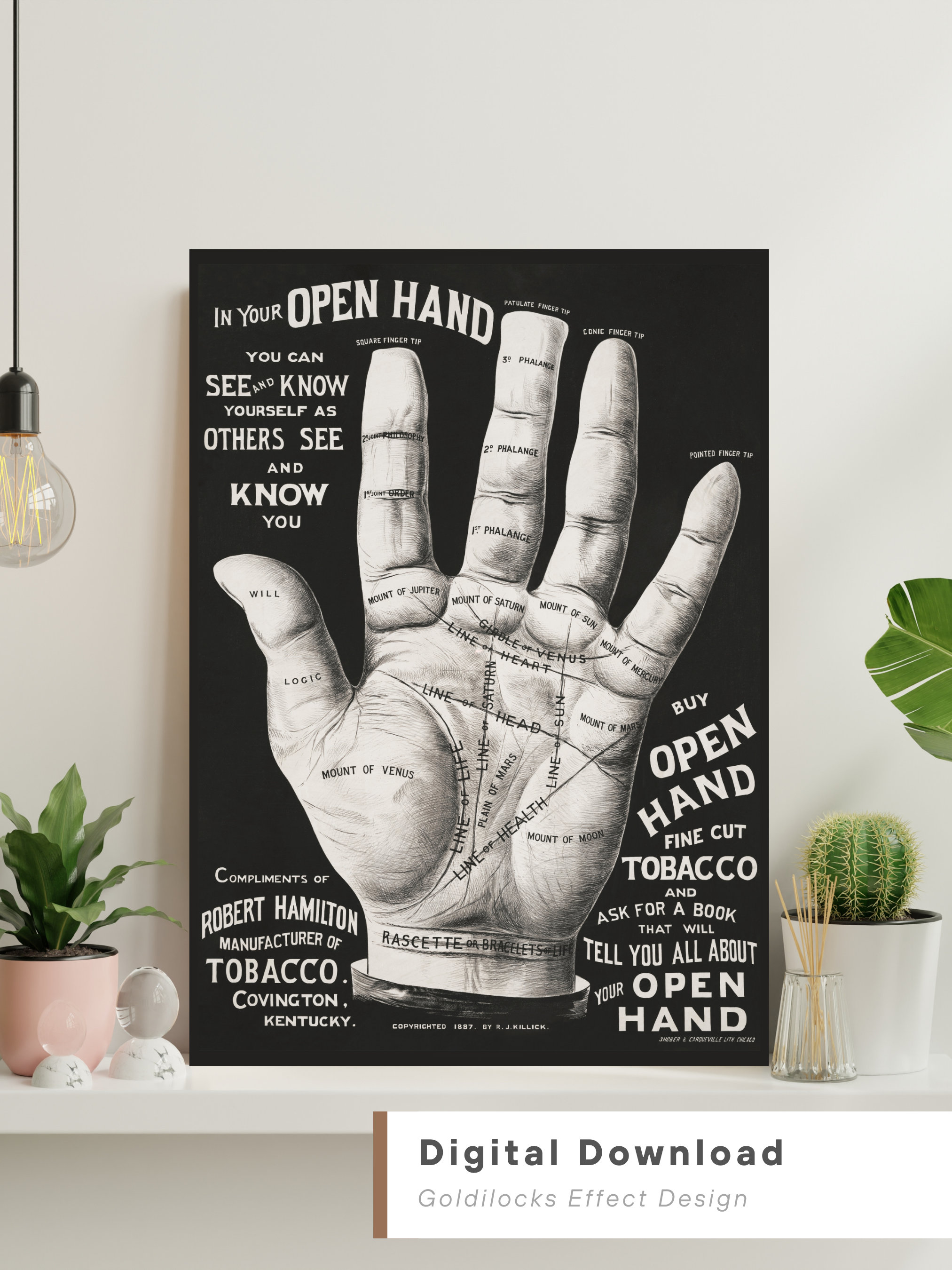 Vintage Open Hand Palm Reading Poster From 1897, Palmistry Artwork ...
