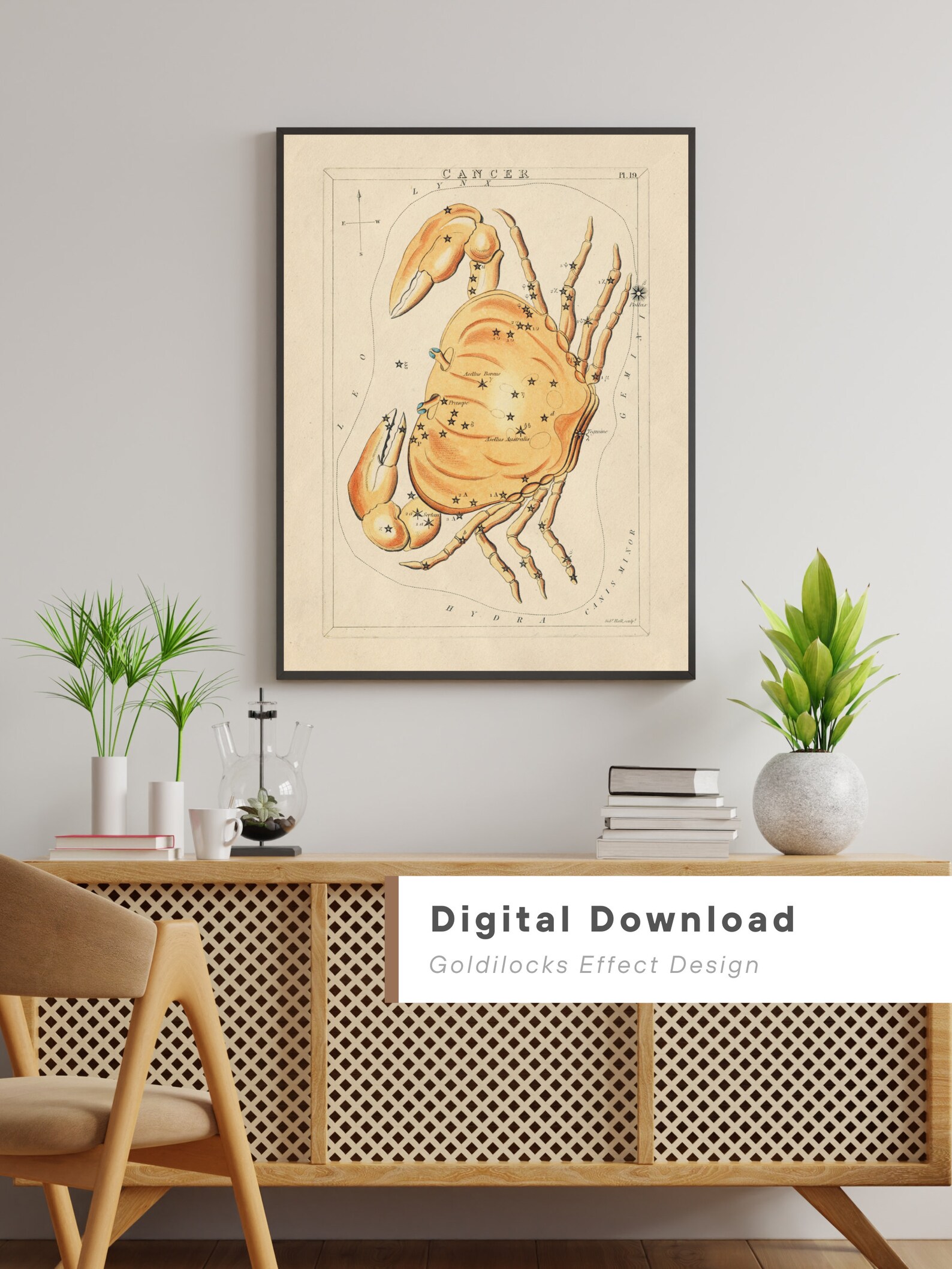 Vintage Cancer Print Star Sign Cancer Birthday Gift Cancer - Etsy