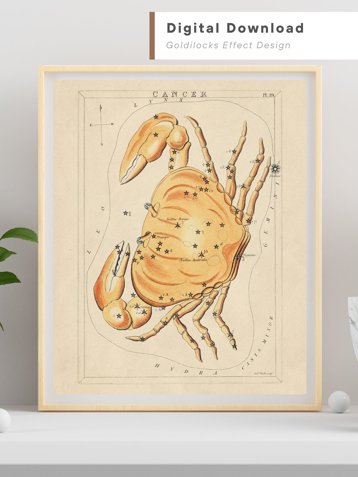Vintage Cancer Print Star Sign Cancer Birthday Gift Cancer - Etsy