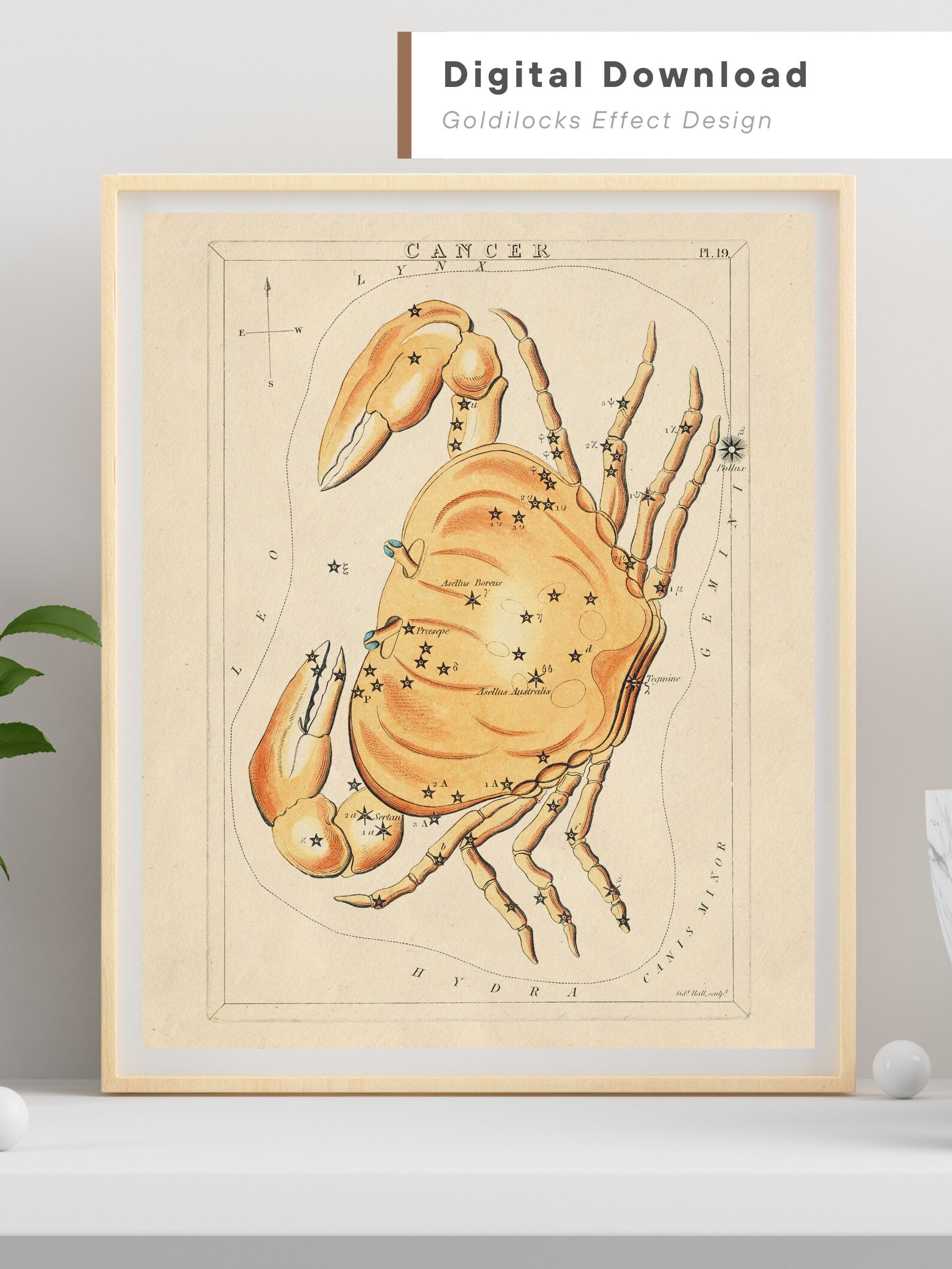 Vintage Cancer Print Star Sign Cancer Birthday Gift Cancer - Etsy