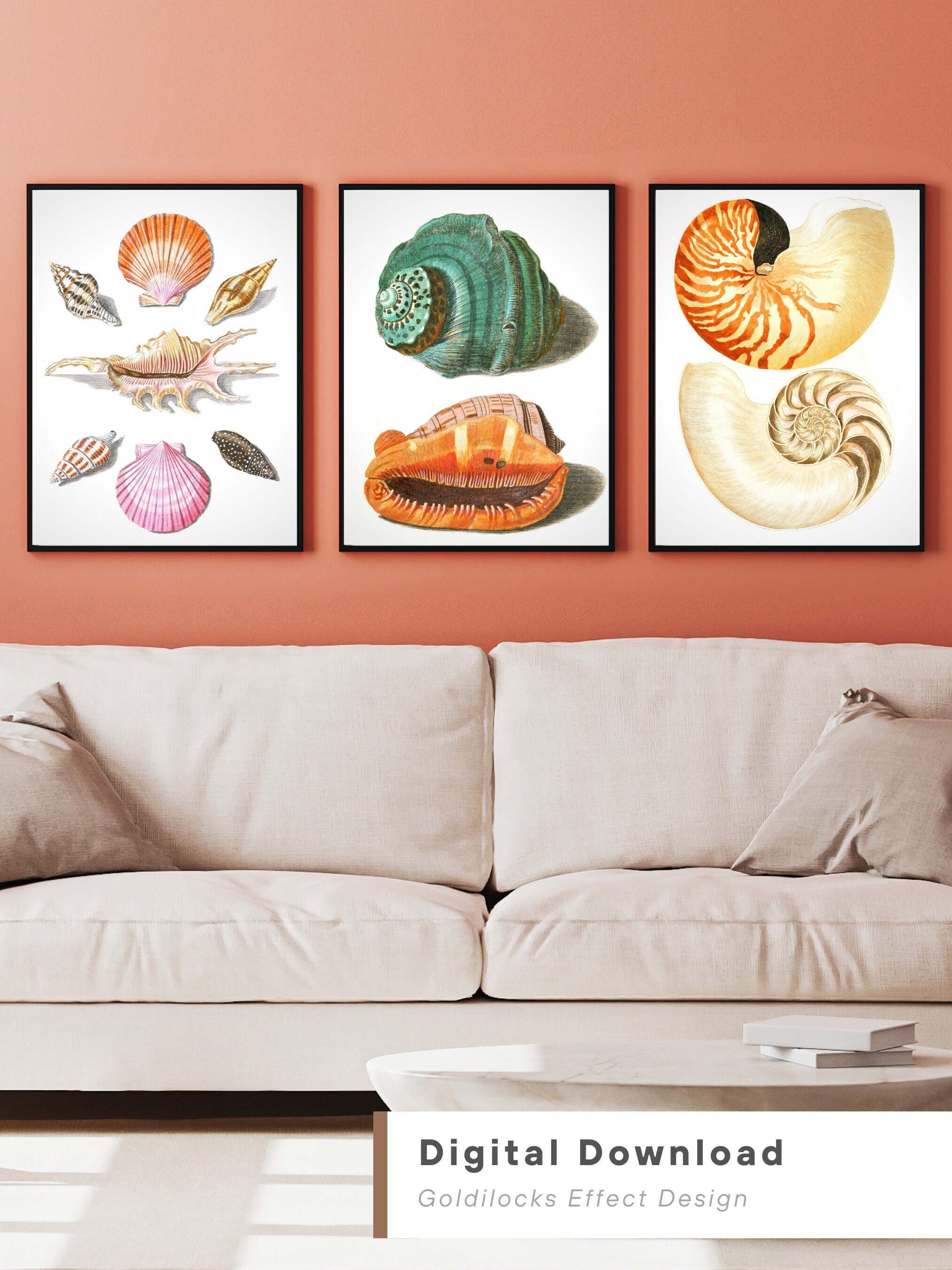 Colorful Vintage Shell Prints, Seashell Illustrations, Set of 3 ...
