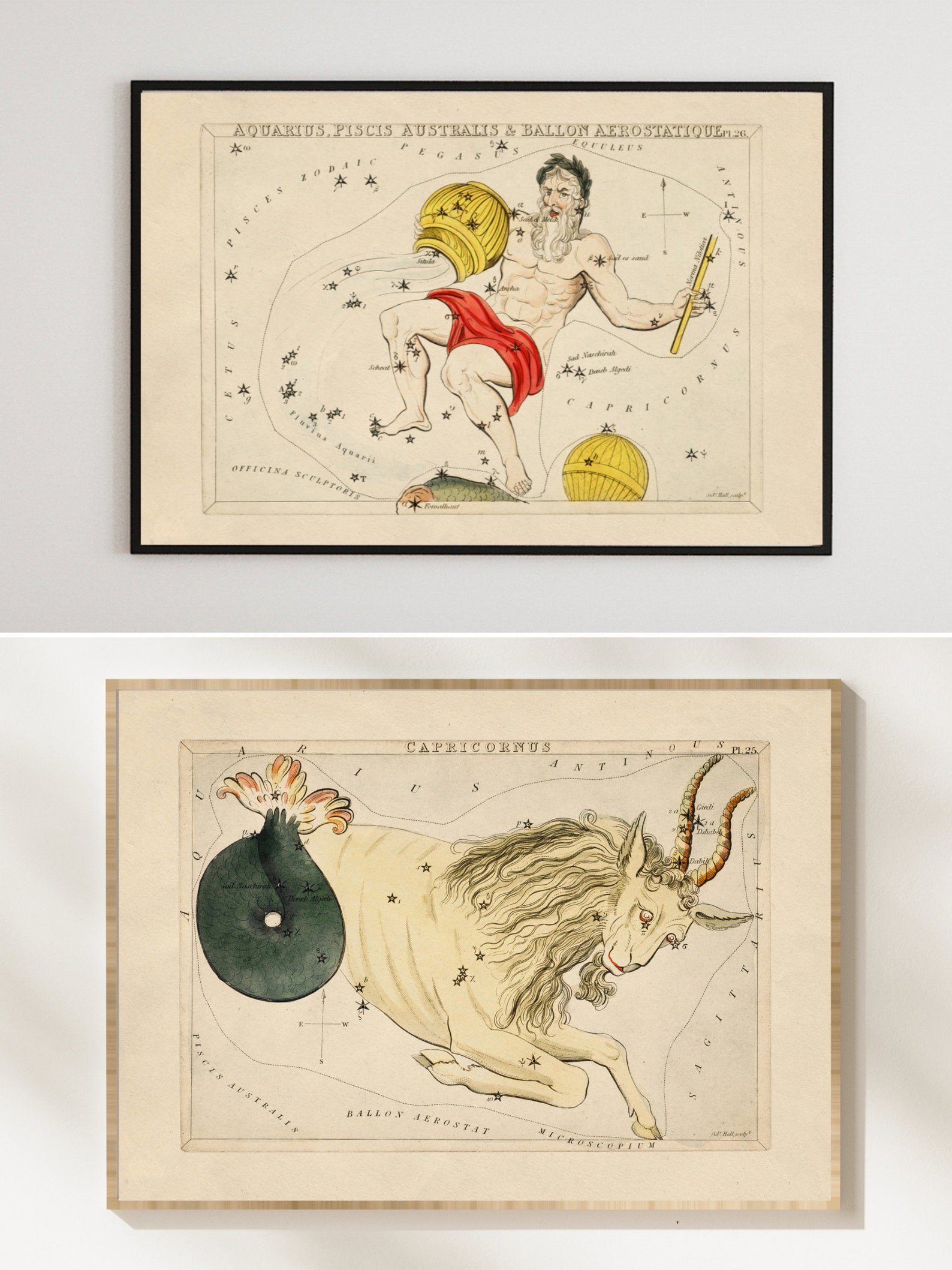 Vintage Zodiac Satin Poster Antique Star Sign Print Zodiac - Etsy