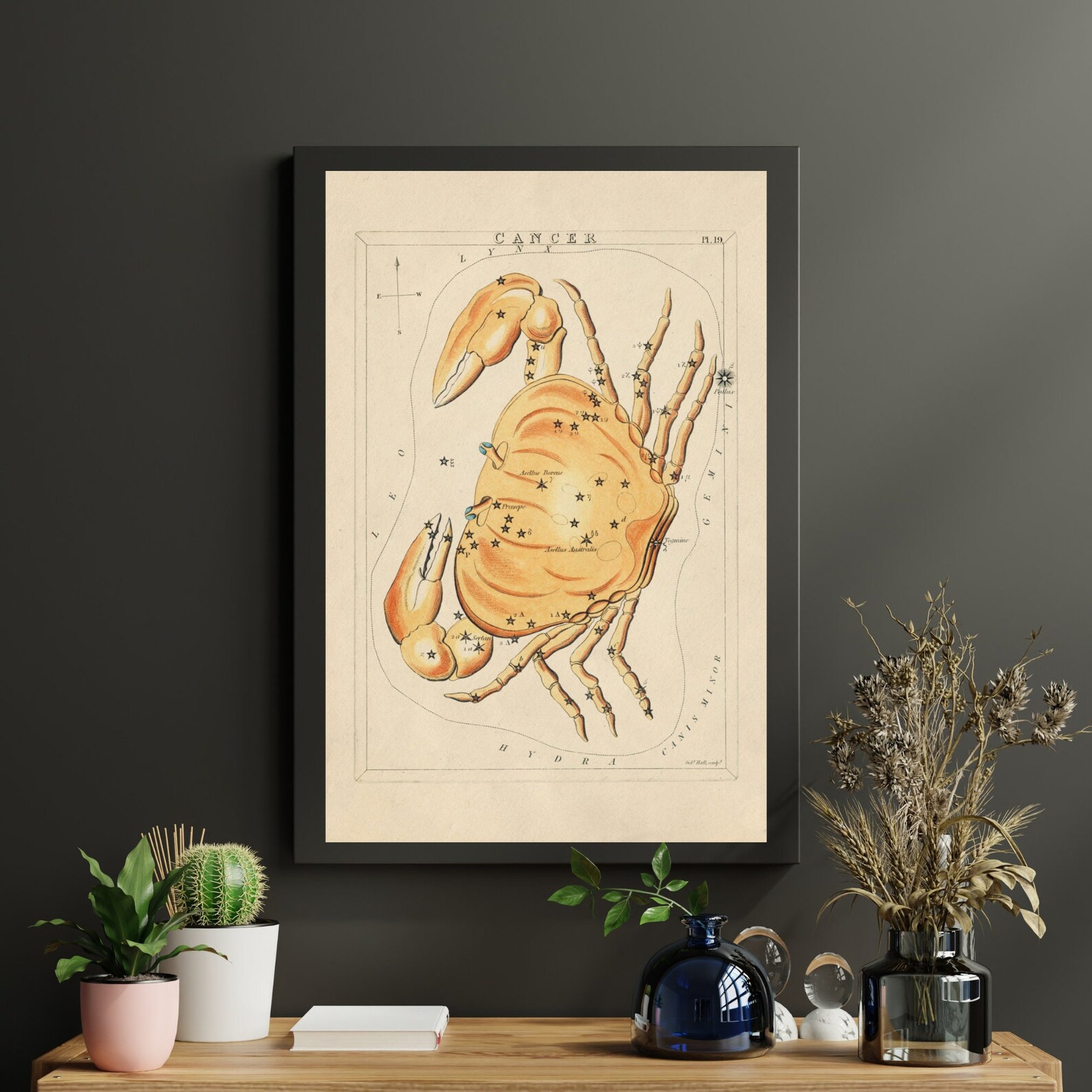 Vintage Zodiac Satin Poster - Antique Star Sign Art From Urania’s ...