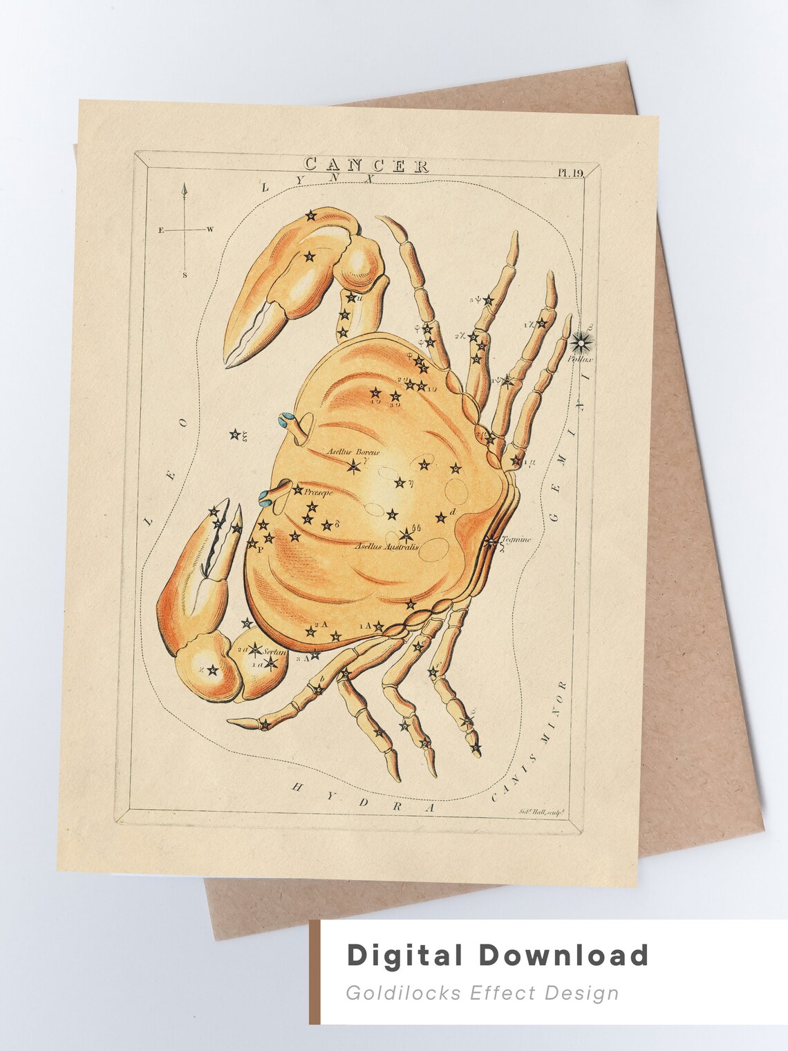 Vintage Cancer Print Star Sign Cancer Birthday Gift Cancer - Etsy