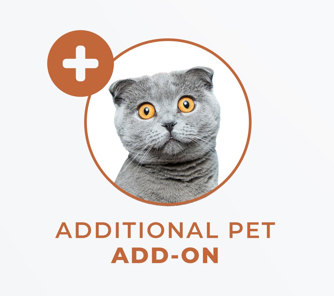 Additional Pet ADD-ON - Etsy