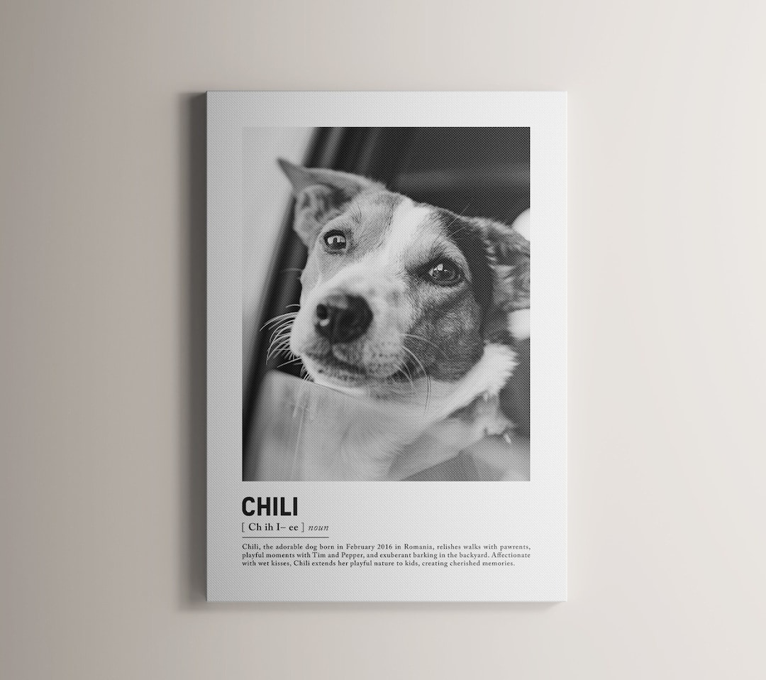 PET DEFINITION With Custom Portrait and Name Funny Quirky Dictionary ...