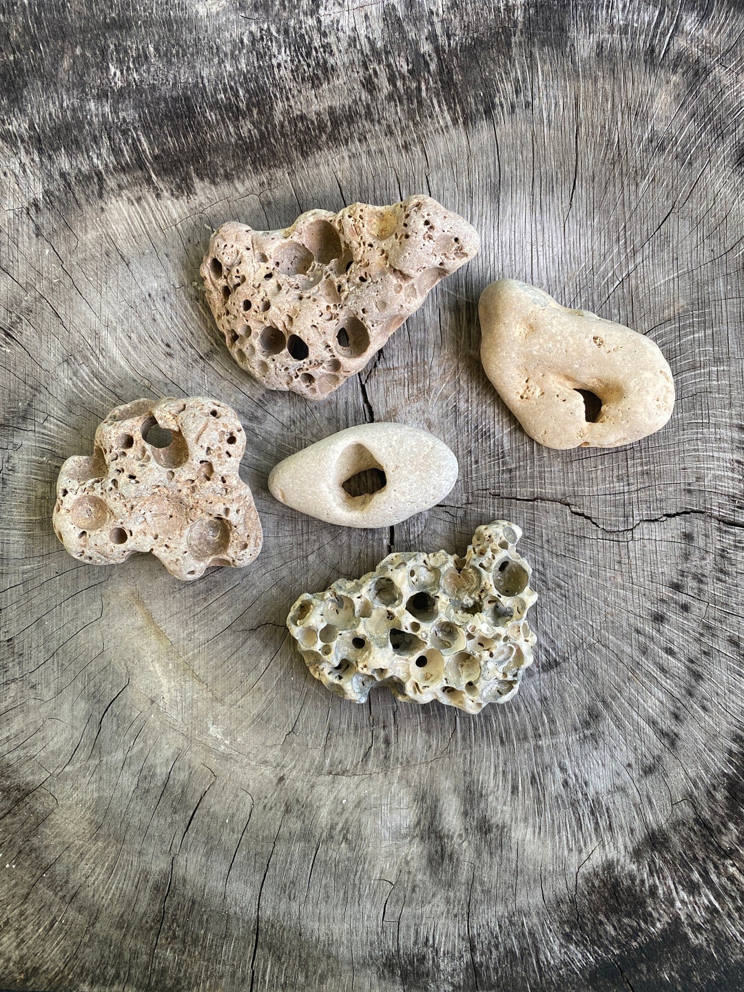 Large Hag Stone, Holey Stones, Beach Stone, Odin Stone, Natural Holey ...