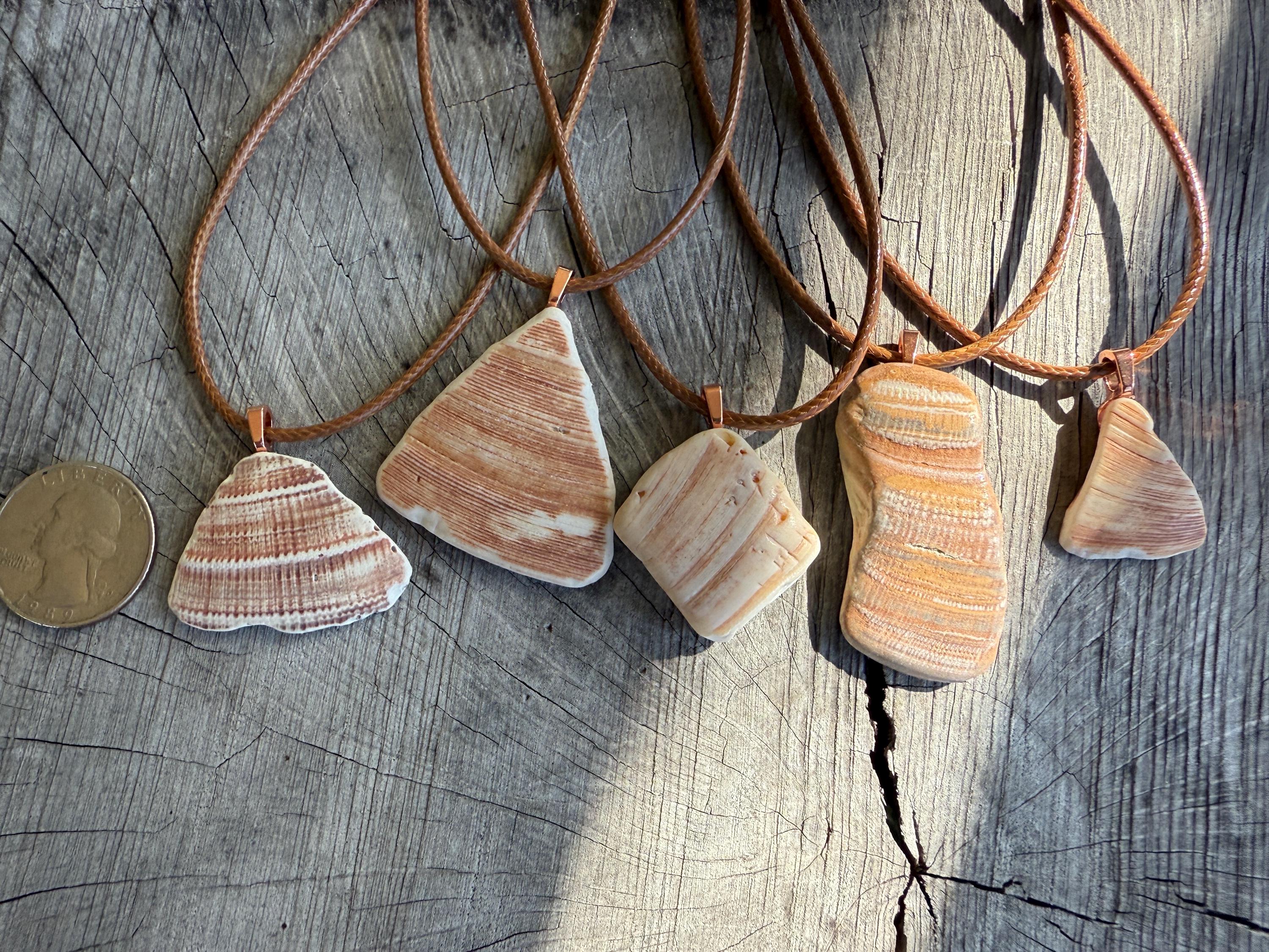 Handmade Clam Shell Pendant Necklace: Natural Beach Jewelry - Etsy