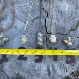 Limpet Necklaces, Limpet Jewelry, Beach Necklace, Seashell Necklace ...