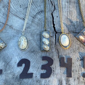 Limpet Necklaces, Limpet Jewelry, Beach Necklace, Seashell Necklace ...