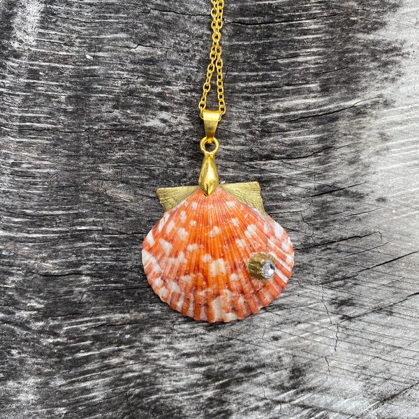 Scallop Shell Necklace - Etsy