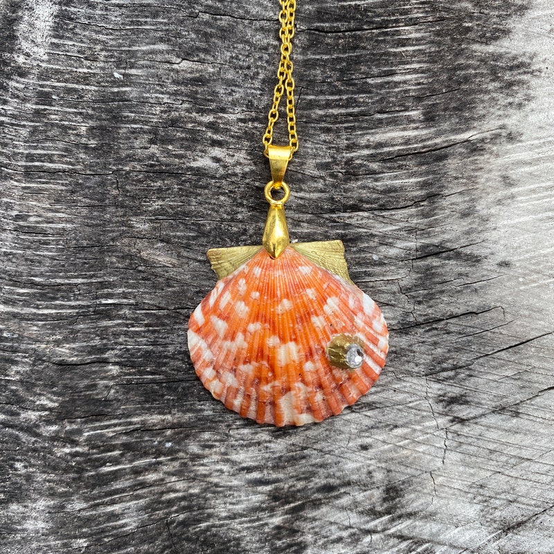 Scallop Shell Necklace - Etsy