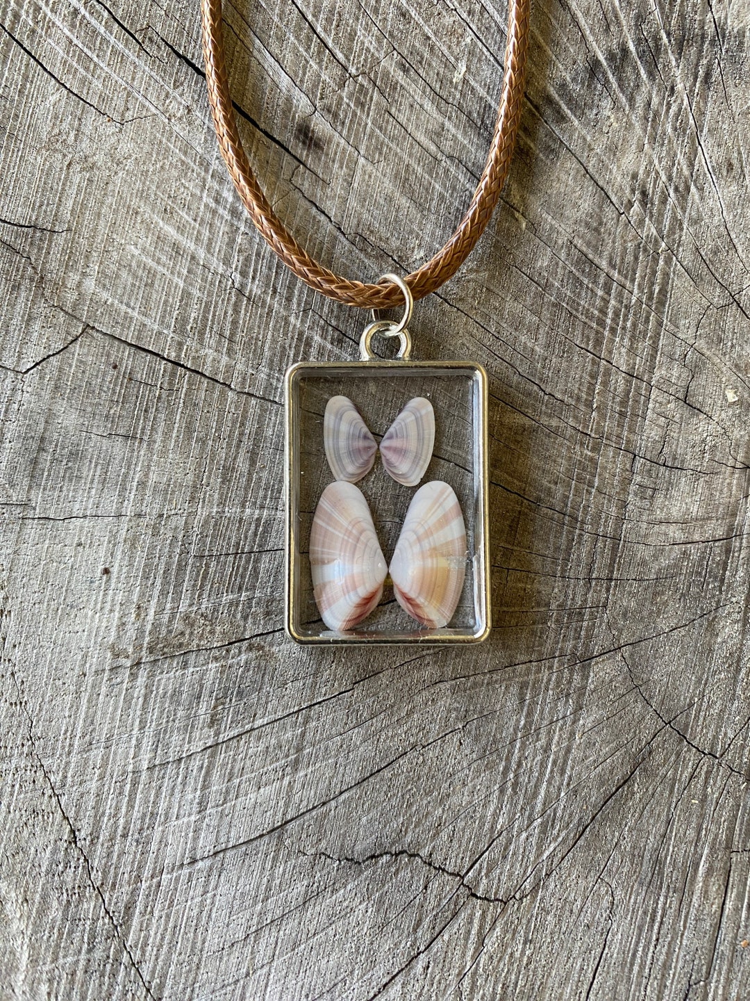 Coquina Shell Butterfly Necklace, Shell Necklace, Butterfly Necklace ...