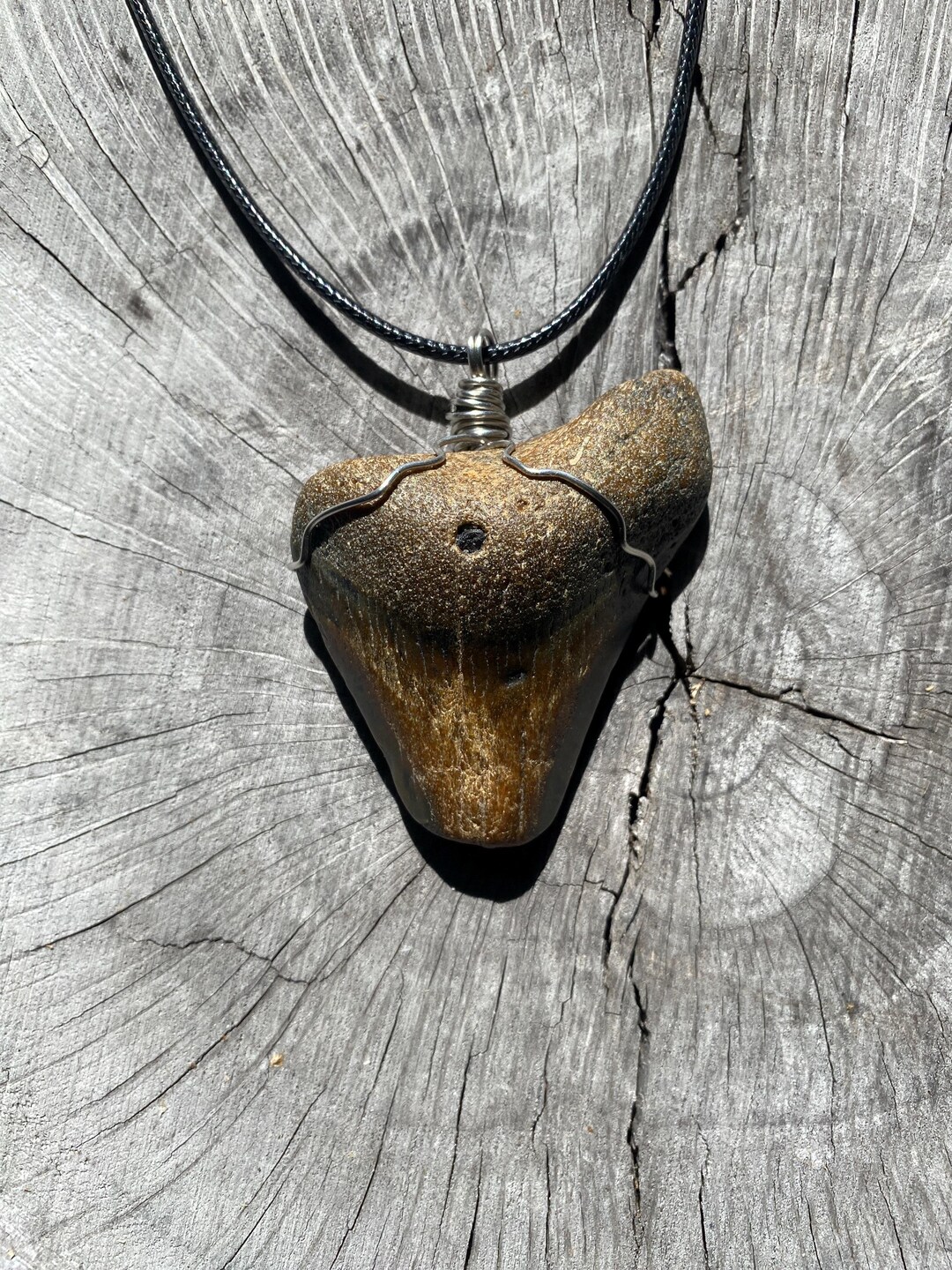 Wire Wrapped Sharks Tooth Necklace: Stainless Steel, Adjustable Cord - Etsy