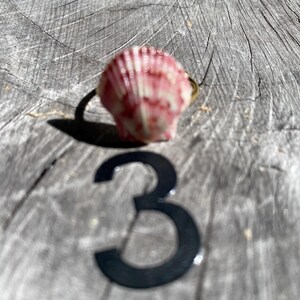 Adjustable Scallop Shell Ring, Shell Ring, Adjustable Ring, Beach Gifts ...