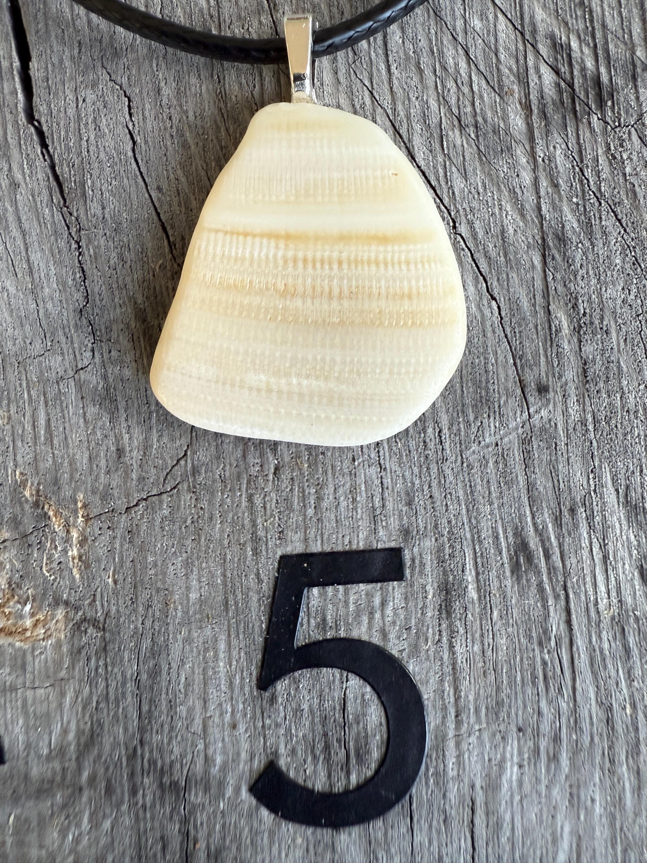 Handmade Clam Shell Pendant Necklace: Beach Jewelry - Etsy