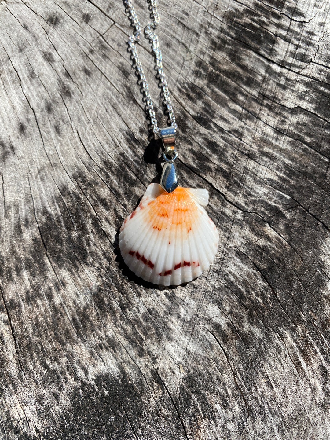 Scallop Shell Necklace, Shell Necklace, Beach Necklace, Summer Necklace ...
