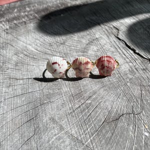 Adjustable Scallop Shell Ring, Shell Ring, Adjustable Ring, Beach Gifts ...