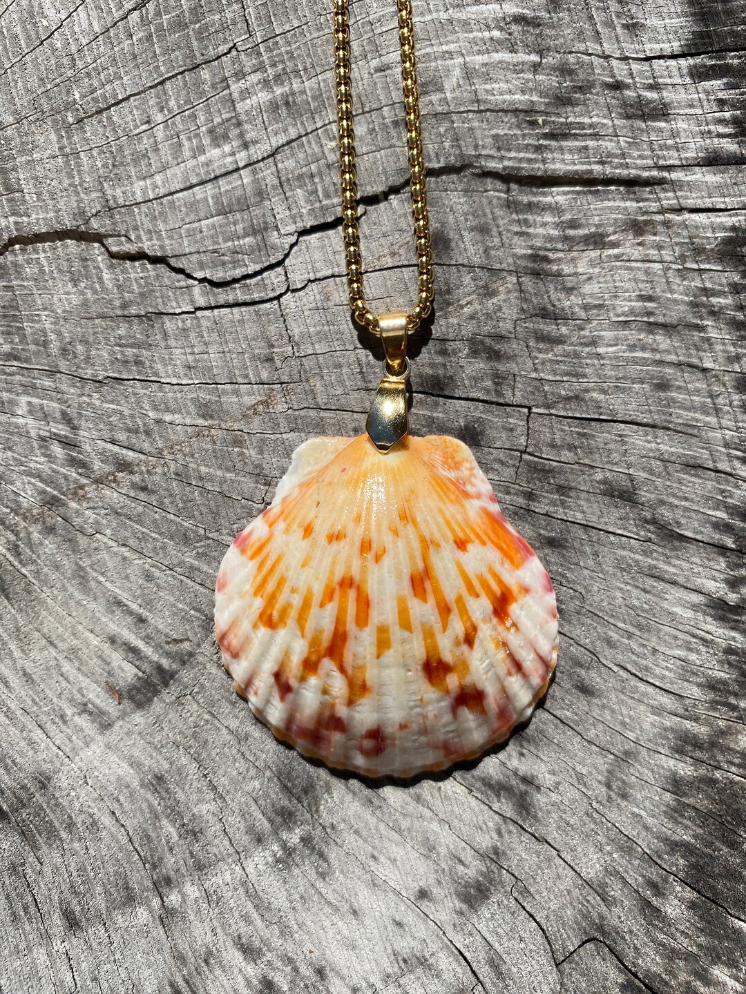 Orange Scallop Shell Necklace, Shell Necklace, Beach Necklace, Summer ...