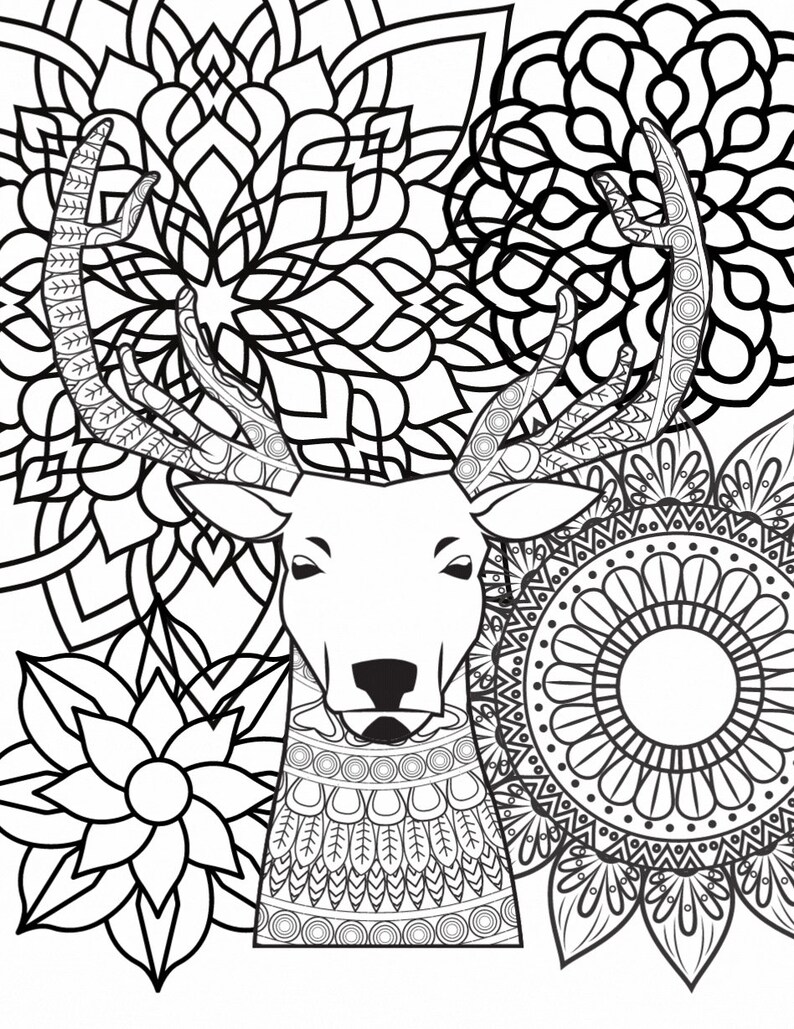 Adult Coloring Book Mandala Animals - Etsy