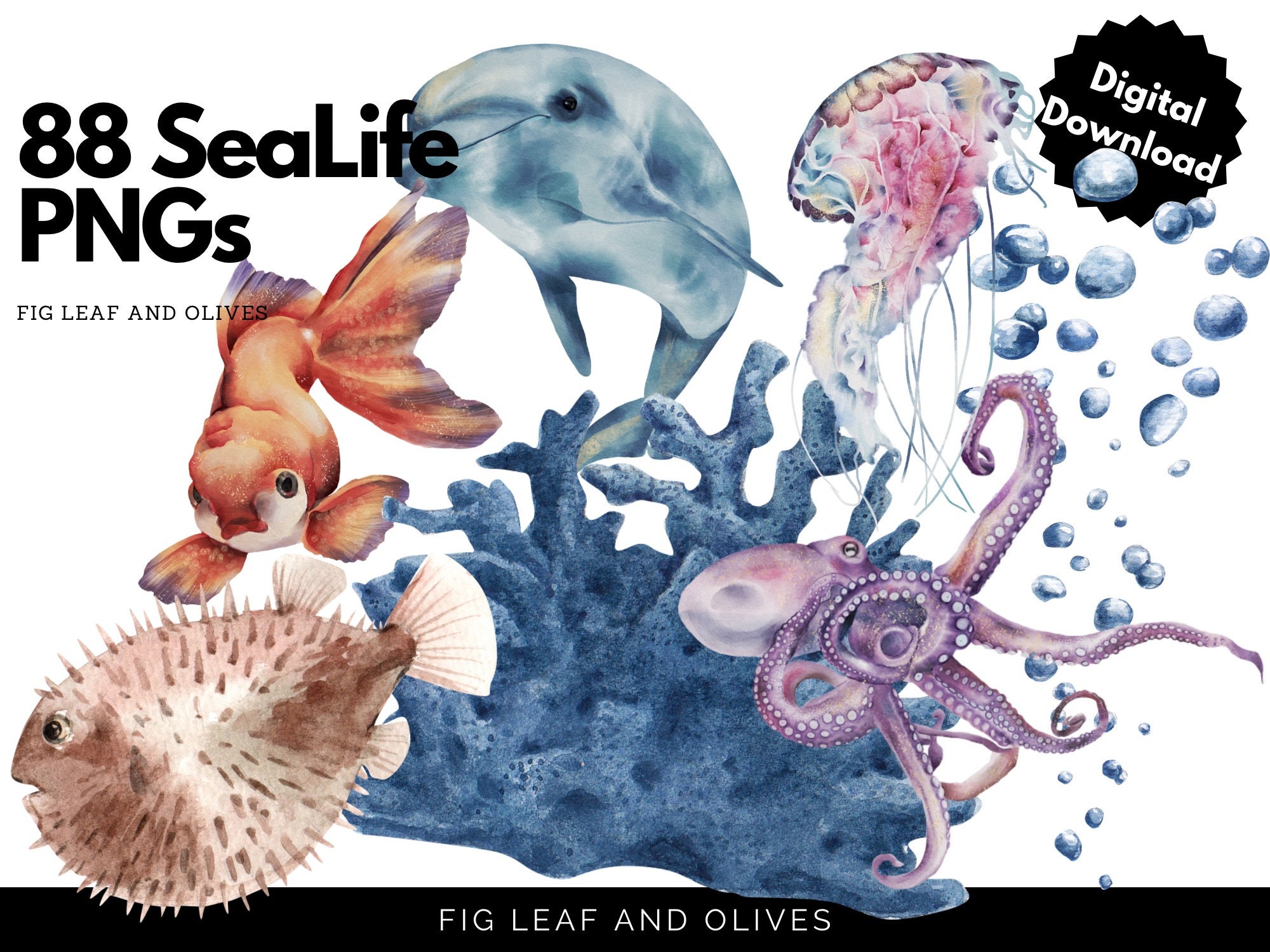 Sealife Digital Stickers, Ocean Life Stickers PNG, Under the Sea Images ...