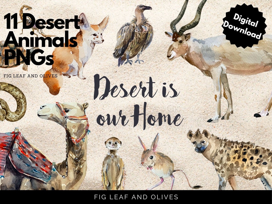 Desert Animals Clipart, Digital Stickers PNG, Desert Themed Images ...
