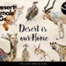 Desert Animals Clipart, Digital Stickers PNG, Desert Themed Images ...