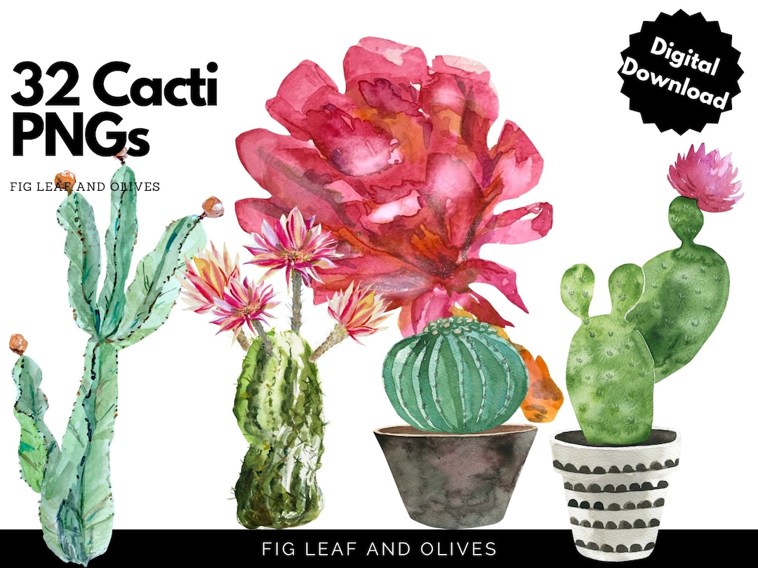 Cacti Digital Stickers, Cactus Planner Stickers, Desert Clipart ...