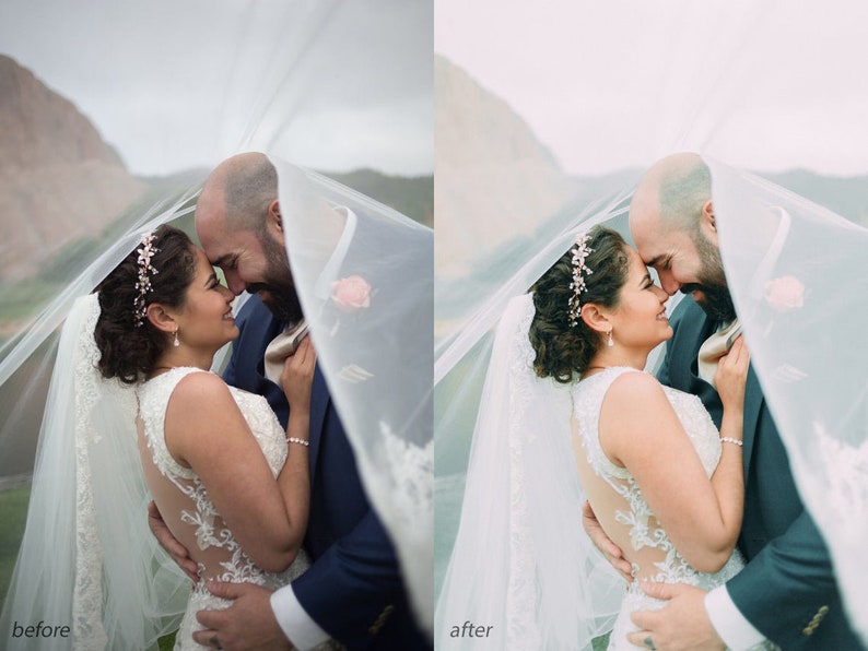 Fine Art Presets Collection Bundle - Light and Airy, Wedding, Desktop ...