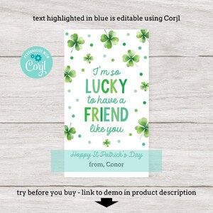 Printable St Patricks Day Treat Bag Gift Tag, Green Shamrock Lucky to ...