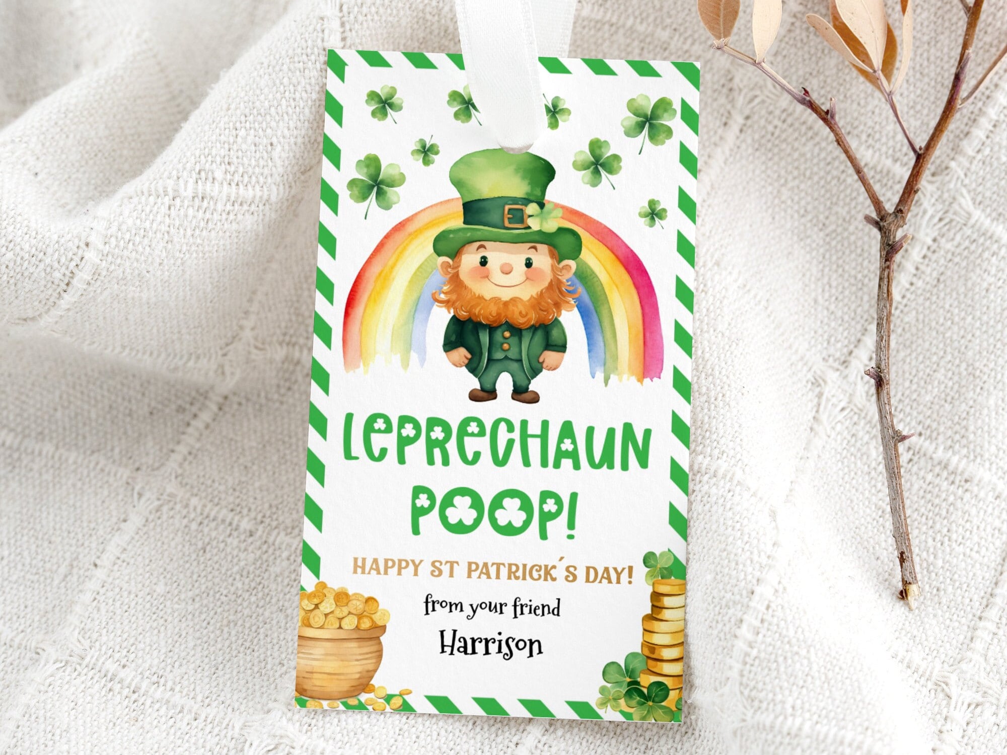 Leprechaun Poop Gift Tag Printable Editable St Patricks Day Favor Tag ...