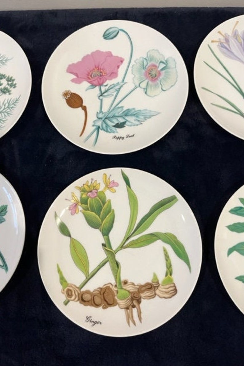 6 Vintage Horchow Made in Japan Plates Botanical Herb Seed Lunch ...