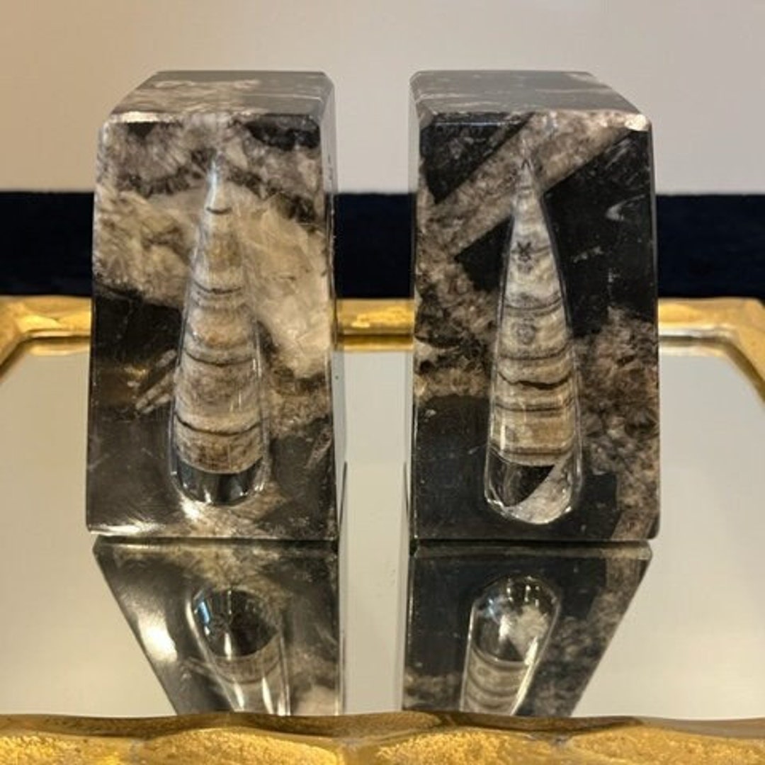 Vintage Marble Orthoceras Fossil Bookend - Etsy