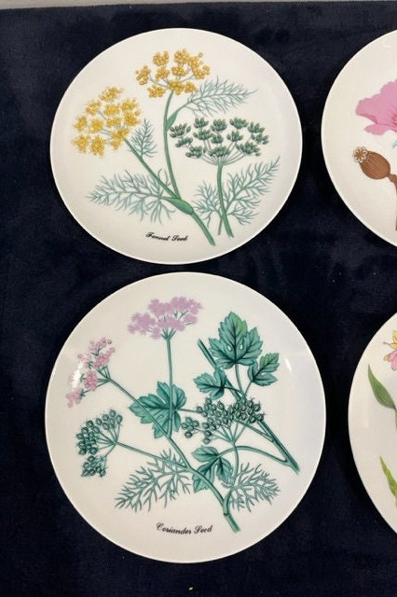 6 Vintage Horchow Made in Japan Plates Botanical Herb Seed Lunch ...