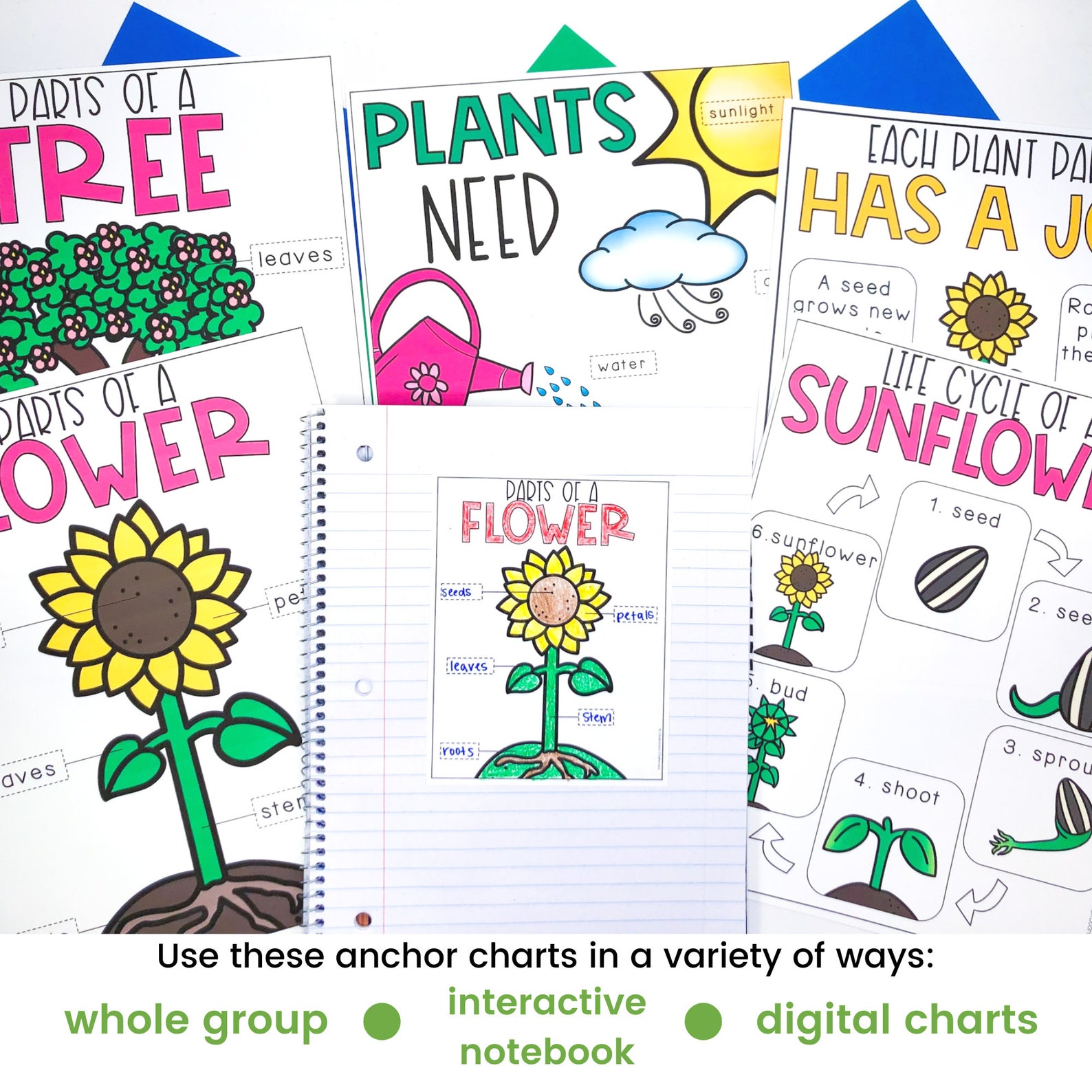 Parts of a Plant and Plant Life Cycle Anchor Charts for Kindergarten ...