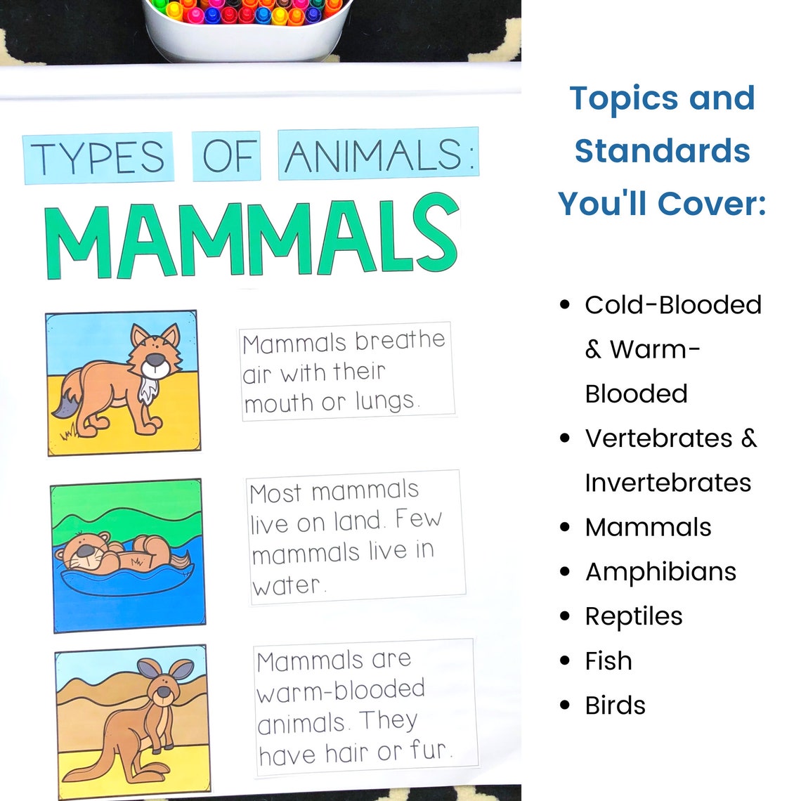 Animal Classifying | Mammal, Reptile, and Bird Anchor Charts for First ...