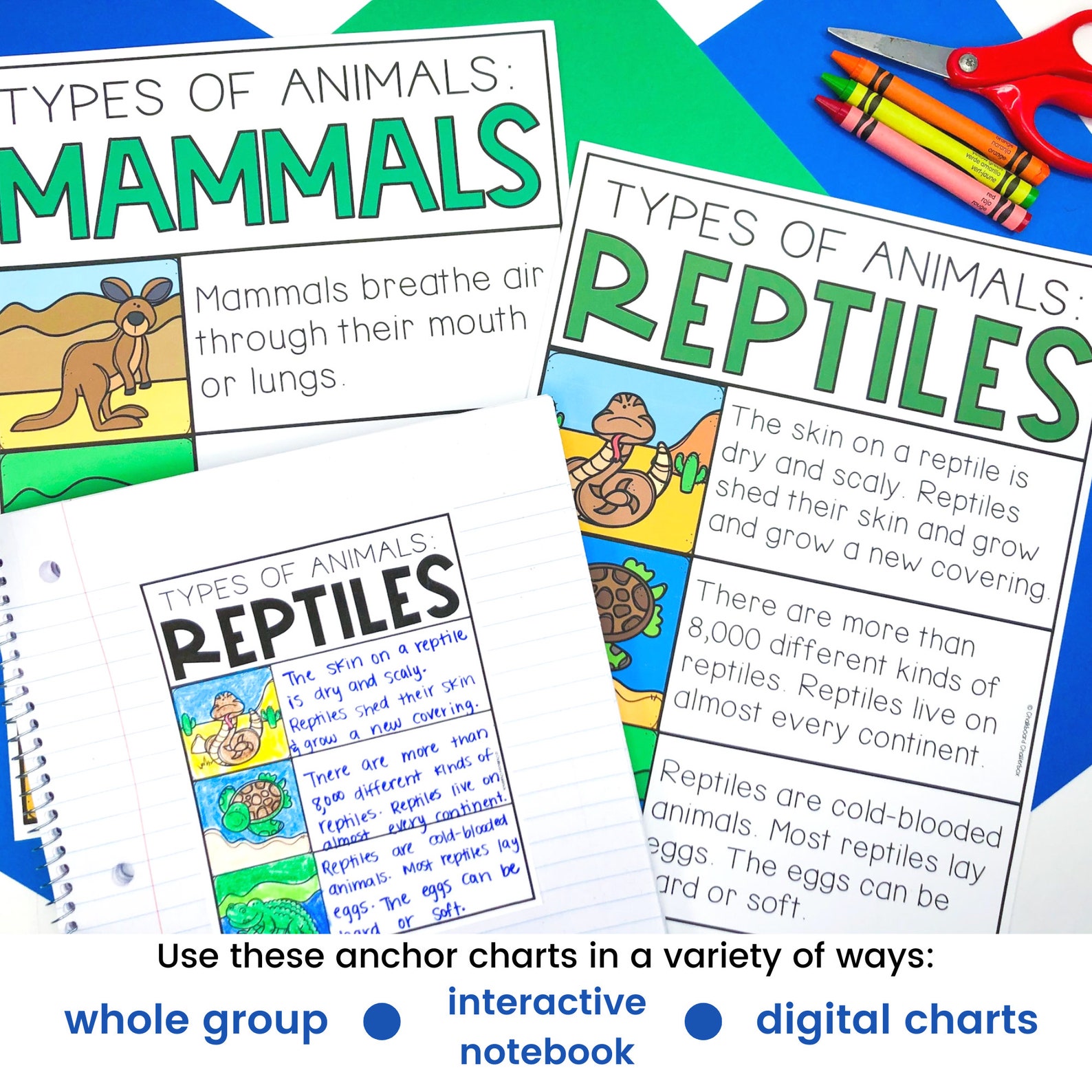 Animal Classifying | Mammal, Reptile, and Bird Anchor Charts for First ...