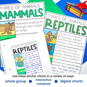 Animal Classifying | Mammal, Reptile, and Bird Anchor Charts for First ...