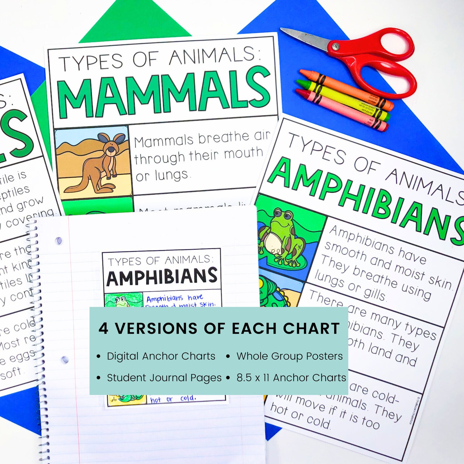 Animal Classifying | Mammal, Reptile, and Bird Anchor Charts for First and Second Grade - Etsy