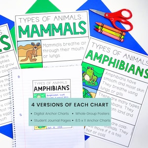Animal Classifying | Mammal, Reptile, and Bird Anchor Charts for First ...